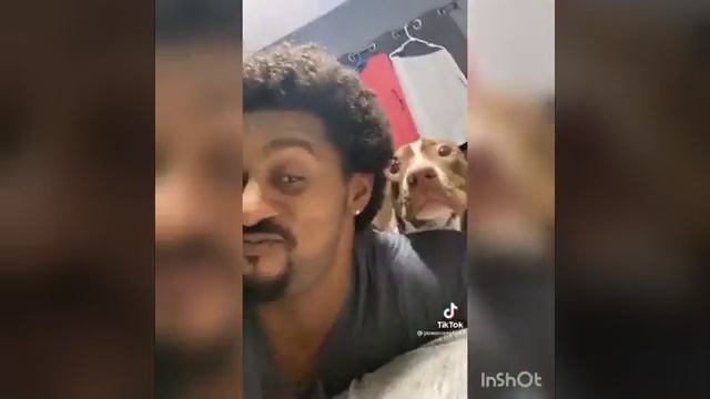 Подборка приколов с животными #24 - смех без конца!