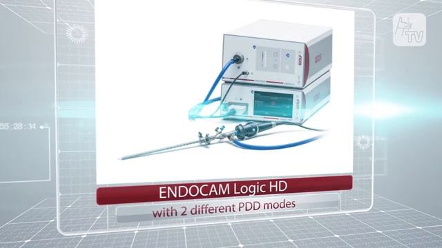 Trailer System blue PDD