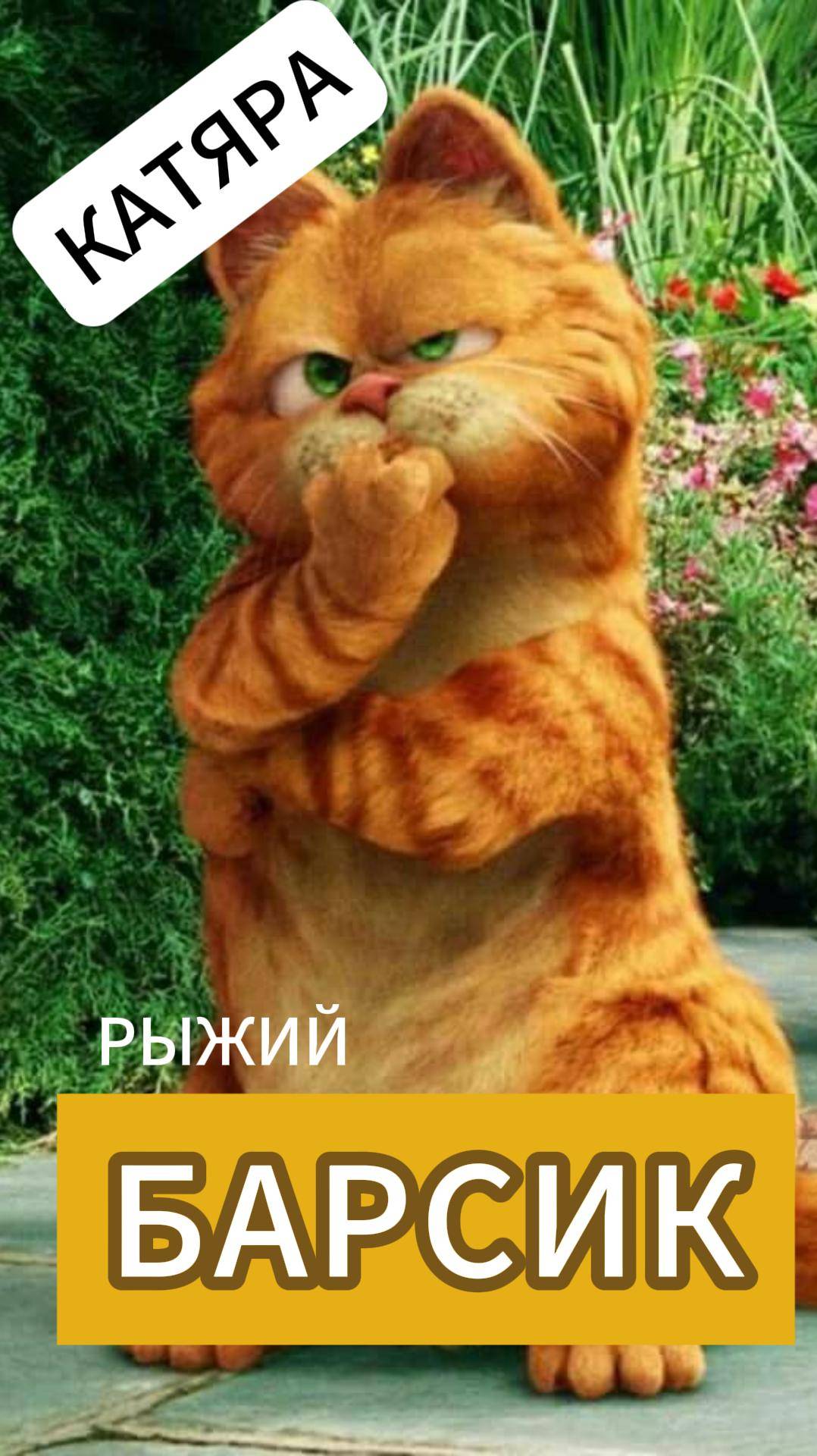 Кот в банке и в собственном соку