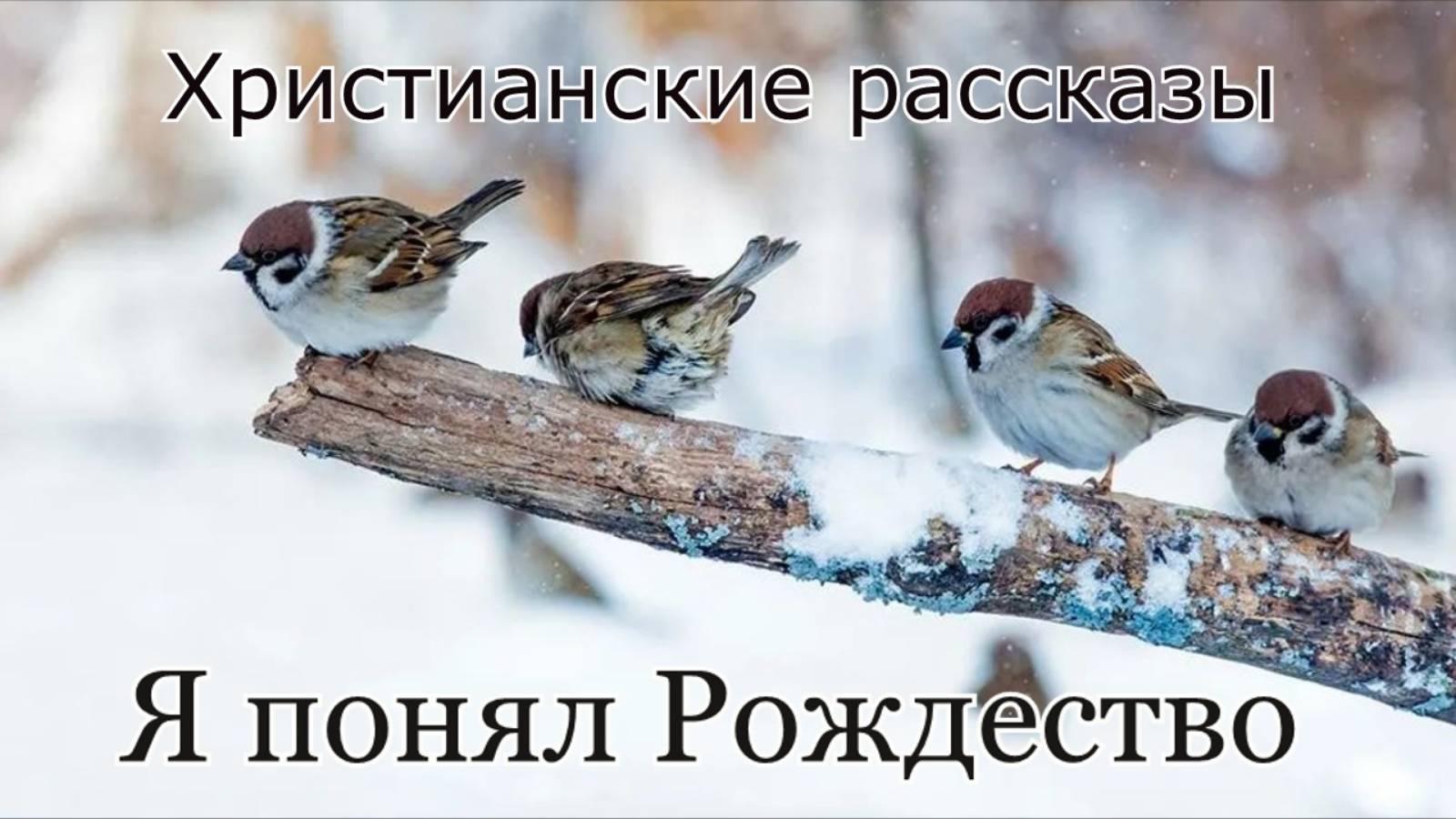 "Я понял Рождество."- Христианский рассказ .