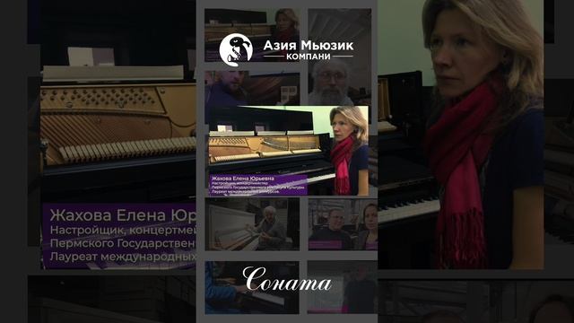 Отзывы на фортепиано «Соната»