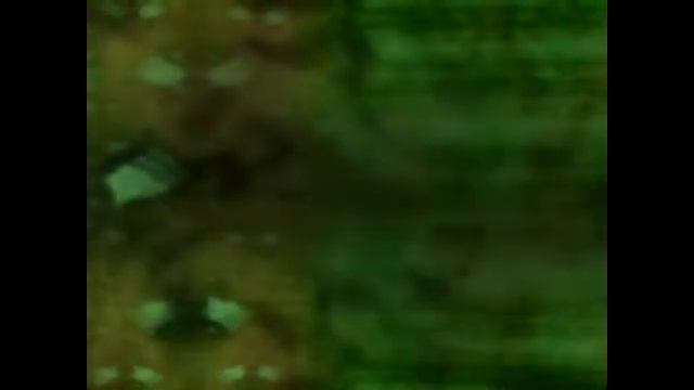 Student -Хрустальная мечта