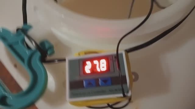 Результат  бражной гравицапы 2 часть