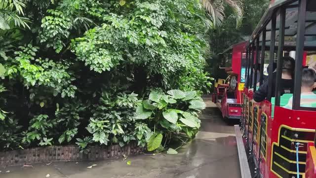 Китай. Гуанчжоу. Зоопарк, часть 3.