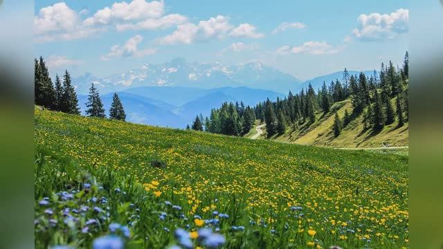 "В краю, где синь озёрная" - поэт Нина Игнатова