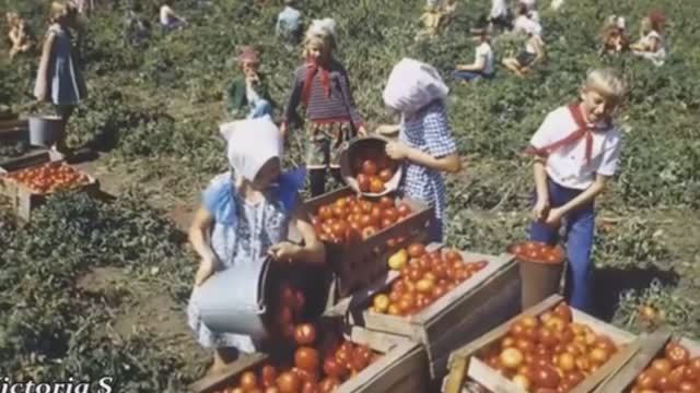 Херсон сегодня и вчера. Гордиться или плакать?