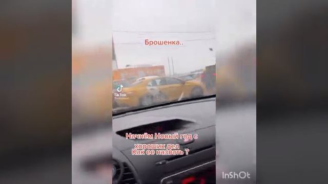 Подборка приколов с животными #17 - смех без конца!