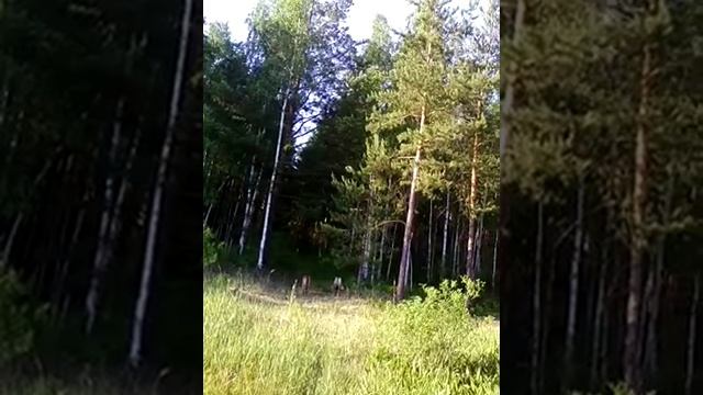 2014 Короткий день из долгого бытия.mp4.mp4