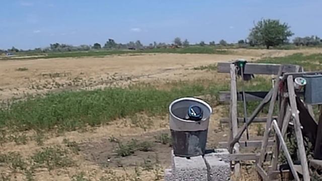 24.06.2024 Полиция выгоняет табун лошадей