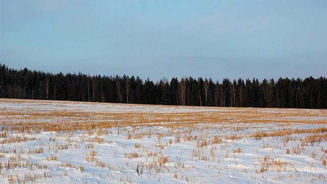 И. Никитин. Встреча зимы -2