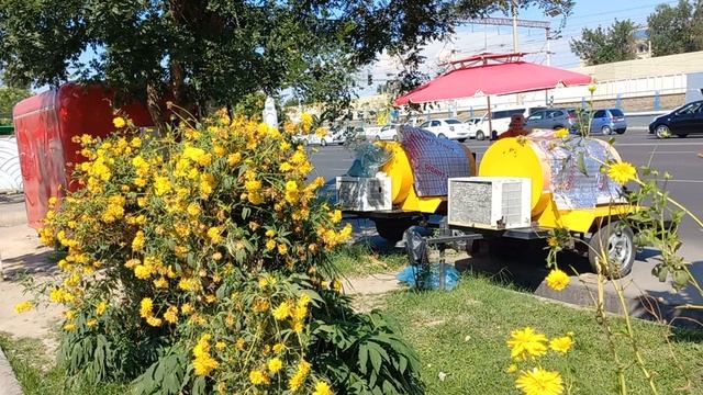 Технология продажи холодного кваса и морса в Ташкентскую жару.