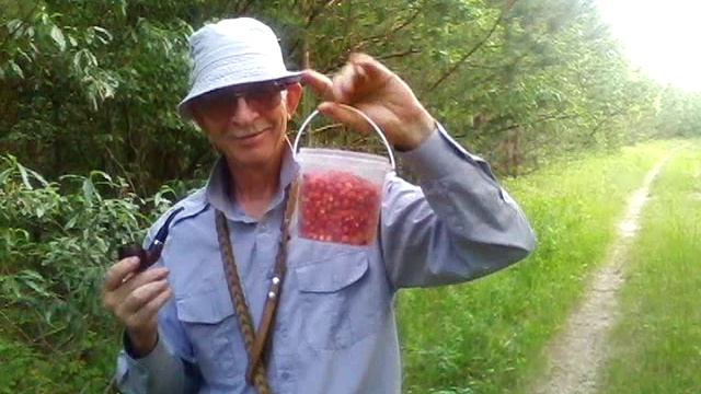 2015 Земляника.mp4