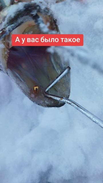 озеро в Карелии которое не перестаёт нас удивлять