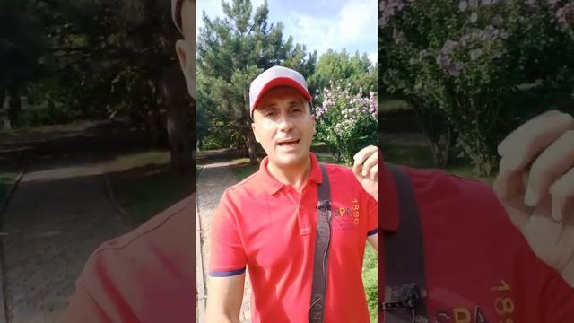 Почему не нужно откладывать