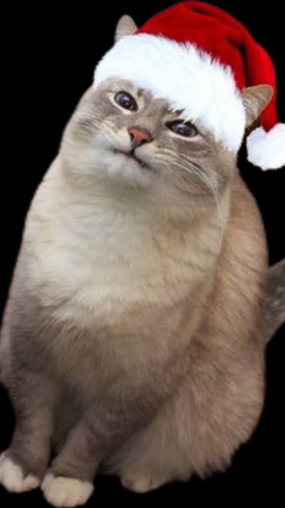 Ой-ой ёлки нет..