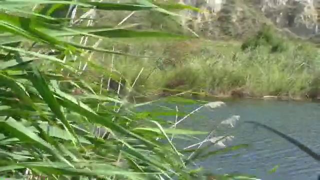 Рыбалка 14 августа