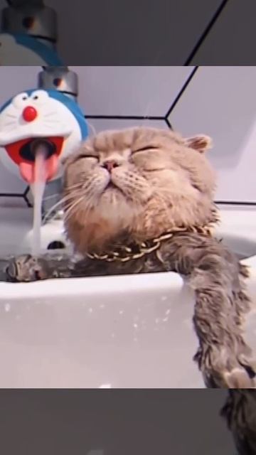 Наслаждается