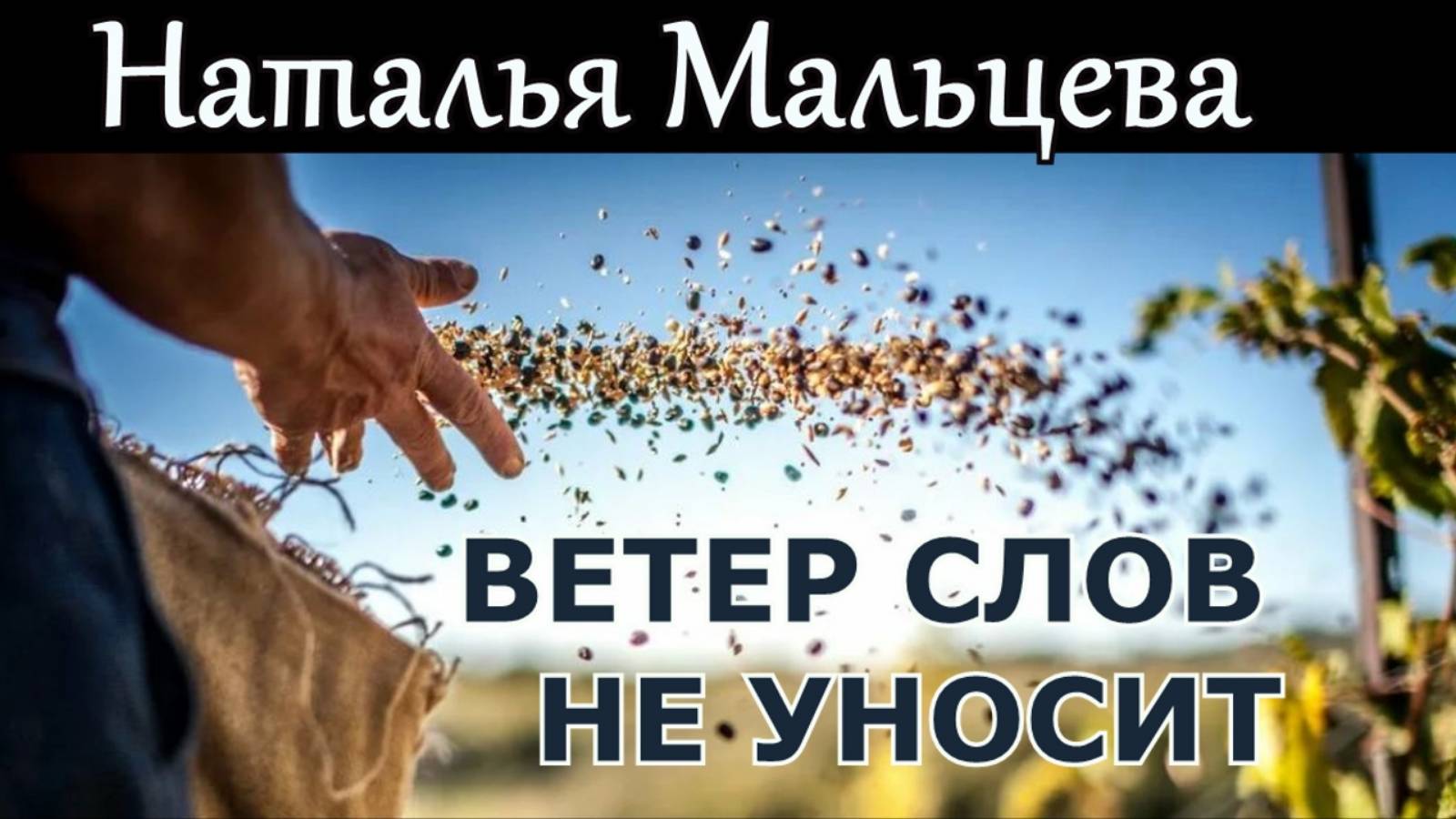 Наталья Мальцева. стих - "Ветер слов не уносит."