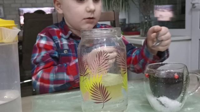 Новиков Дмитрий