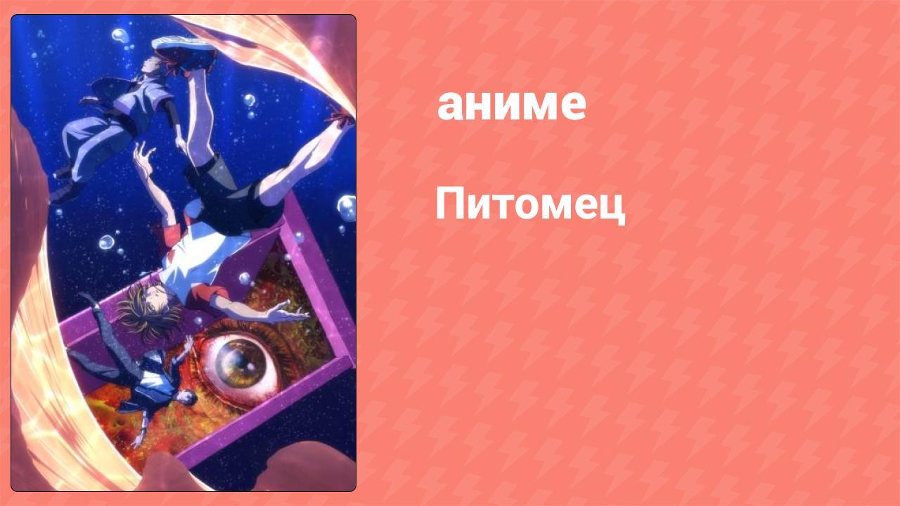 Питомец 11 серия «Воссоединение» (аниме-сериал, 2020)