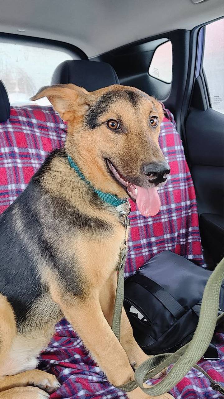 Малыш ищет Дом и Семью.