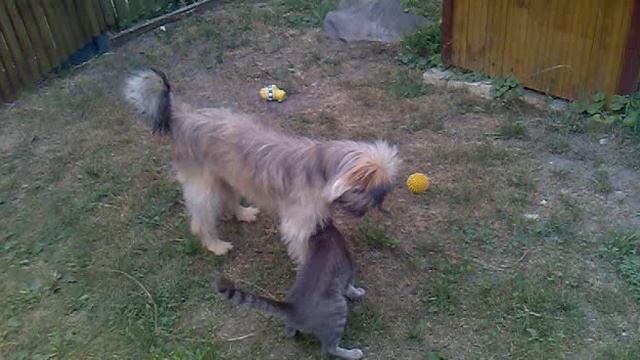 2013 год. Ты отказала мне 2 раза.mp4