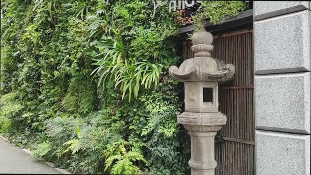 Япония, Киото. Первый день в Японии.