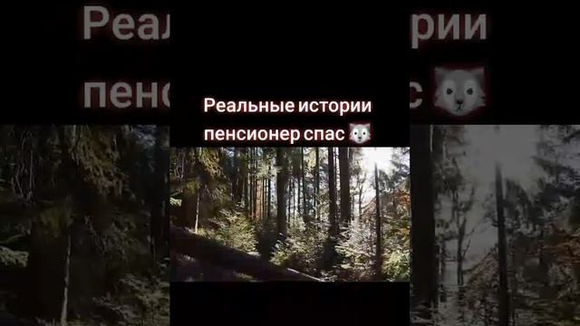 реальные истории