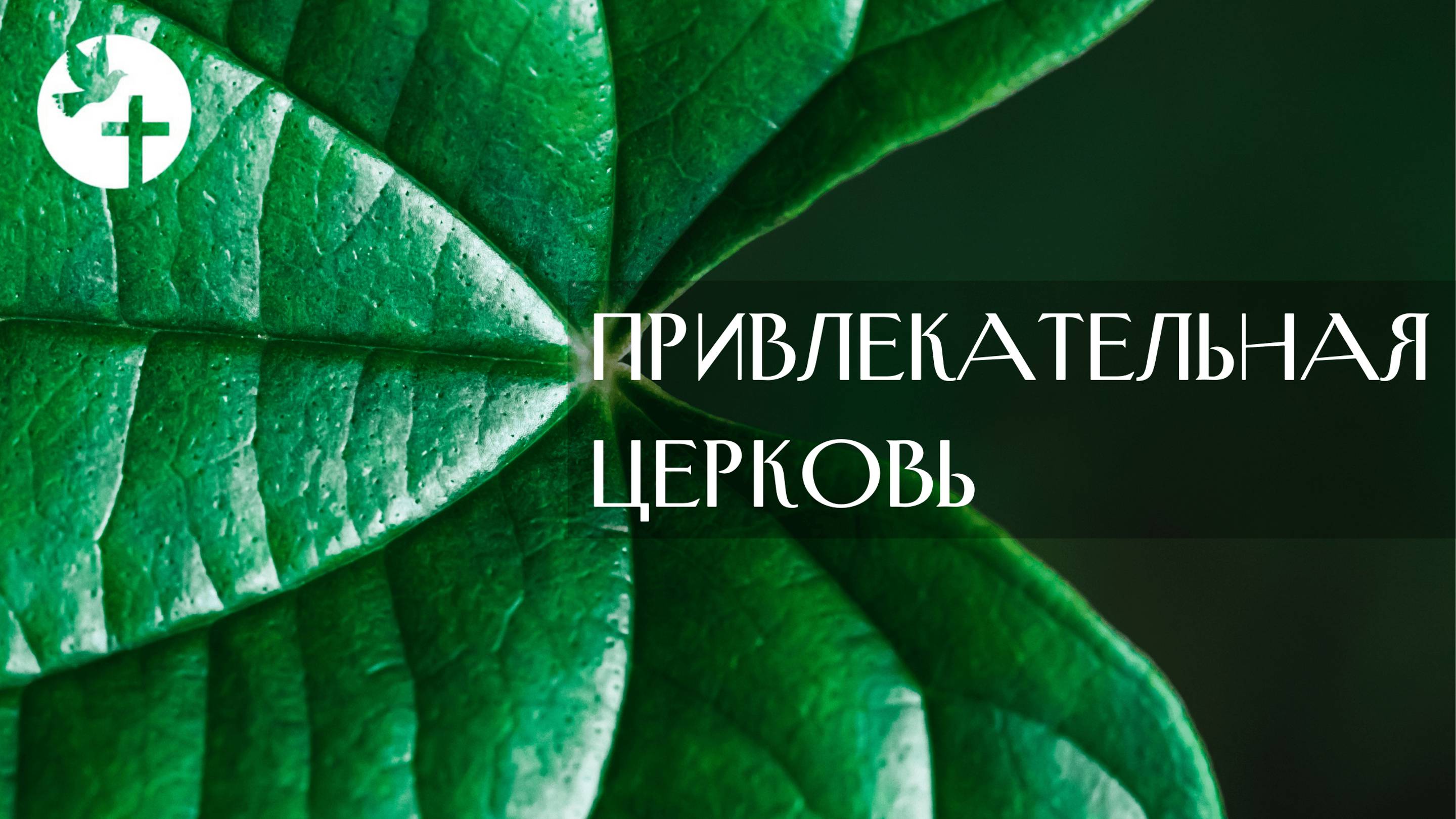 ПРИВЛЕКАТЕЛЬНАЯ ЦЕРКОВЬ | Проповедует Сергей Волков | 19 января 2025