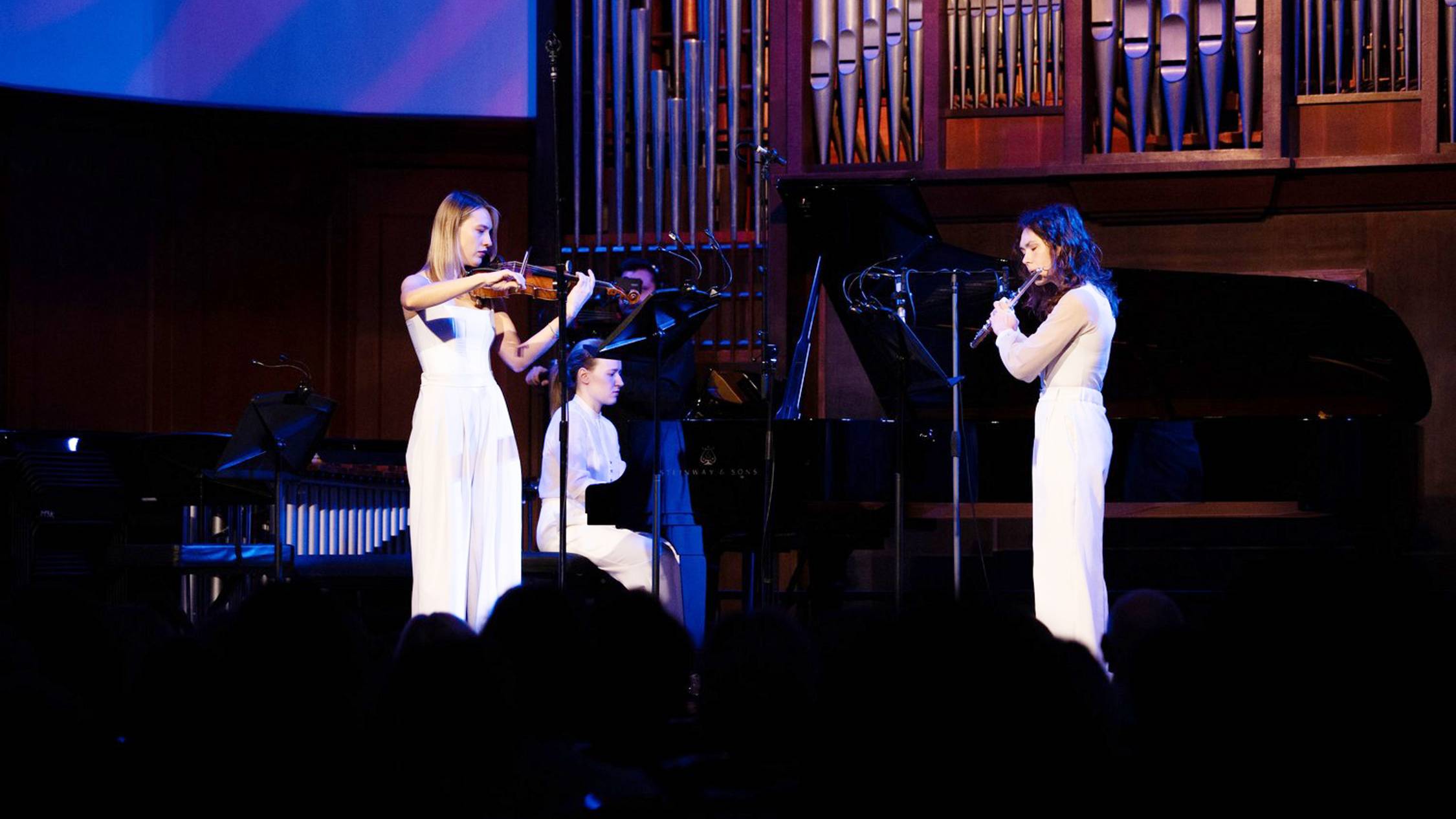 Анна Ромашкова «Серость. Магнетизм. Цветение» для флейты, скрипки и фортепиано