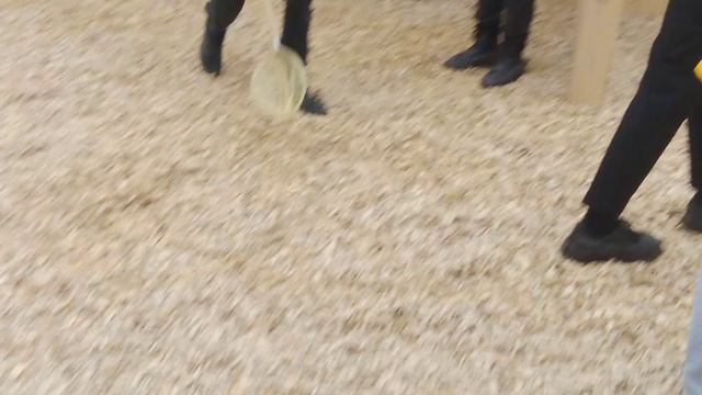 Тайнственный мир попугаев. Дом ручных попугайчиков на Таганке.