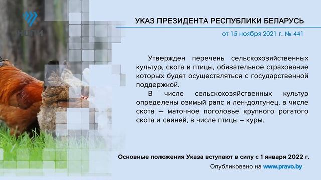 «Компетентно о праве»: Указ Президента Республики Беларусь от 15 ноября 2021 г. № 441