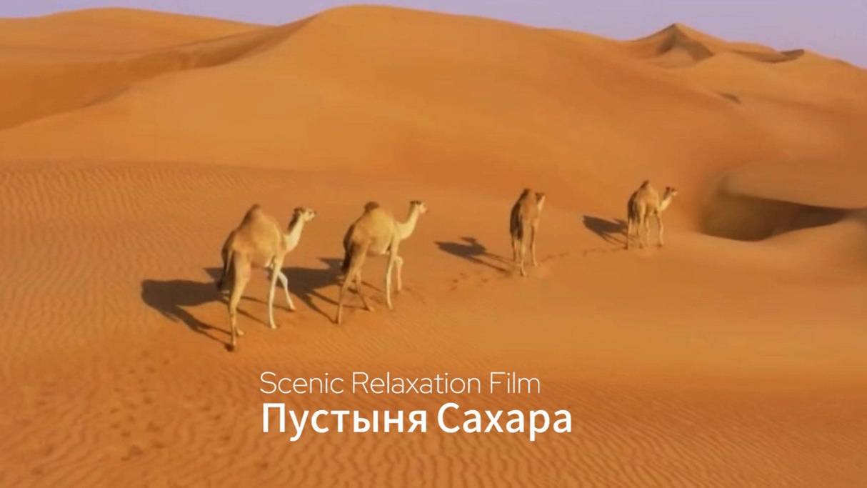 Scenic Relaxation Film With Calming Music