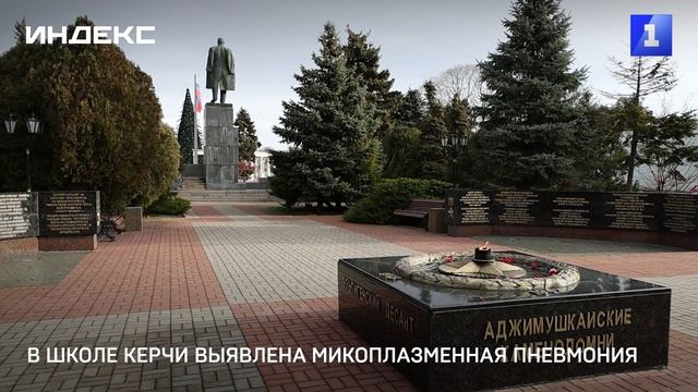 В школе Керчи выявлена микоплазменная пневмония