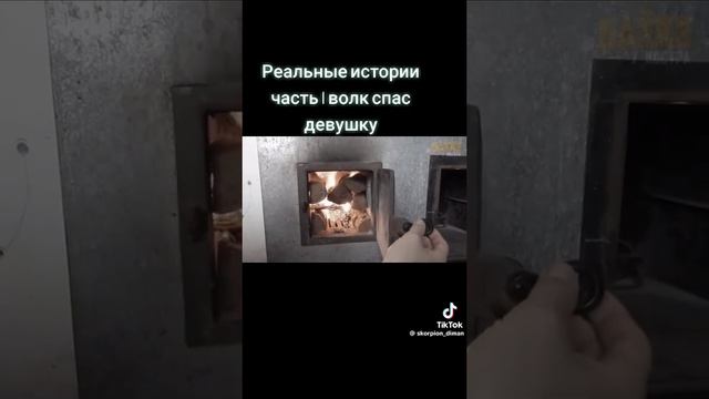 реальные истории