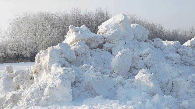 3664713-hd_1920_1080_30fps