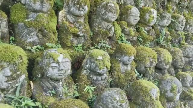 Япония. Киото. Храм Отаги Нэнбутсу-дзи.