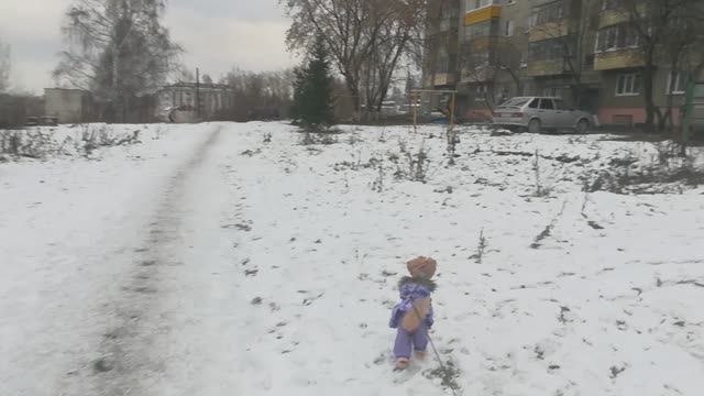 Ноябрьские будни 😎🐕