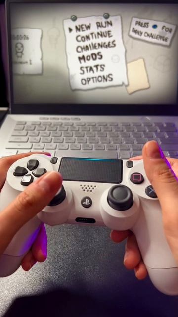 Как играть в Айзека вдвоем с одного ПК