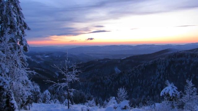 3497079-hd_1920_1080_24fps