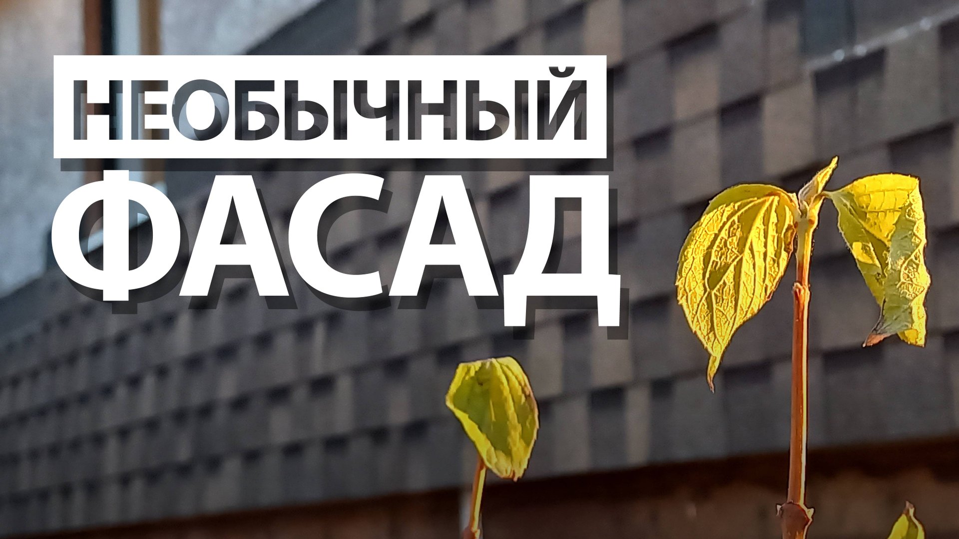 Мини-дом своими руками. Необычный фасад