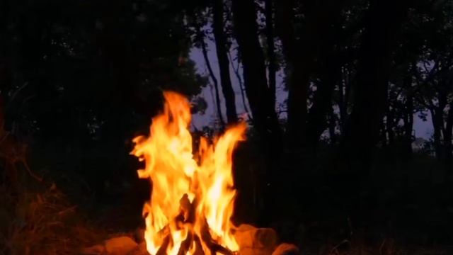 В землянке (военная в блюзовом варианте)