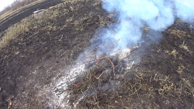 Потерял птенца, новые лампы для брудера.