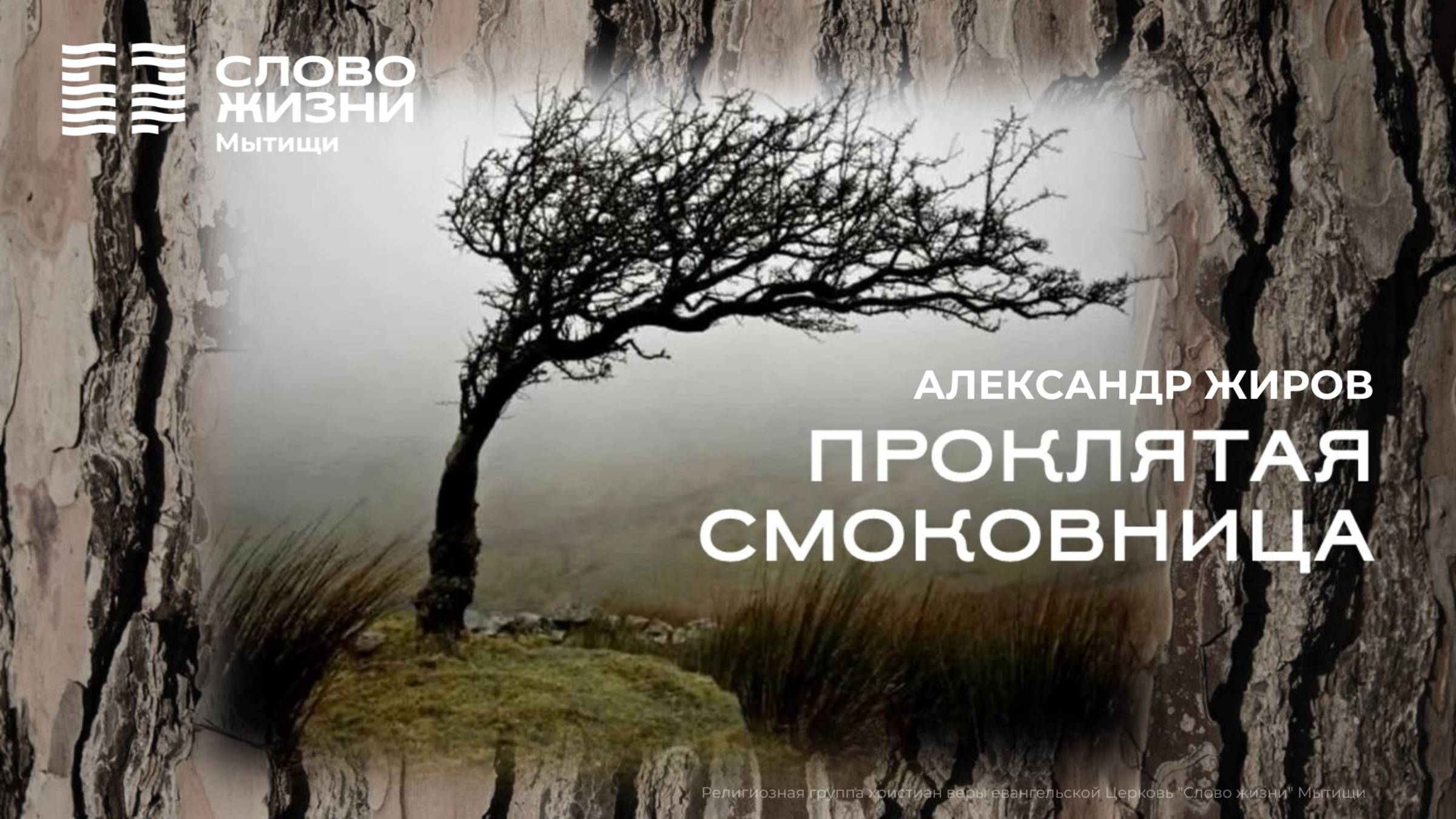 Проклятая смоковница | Александр Жиров | Церковь «Слово жизни» Мытищи