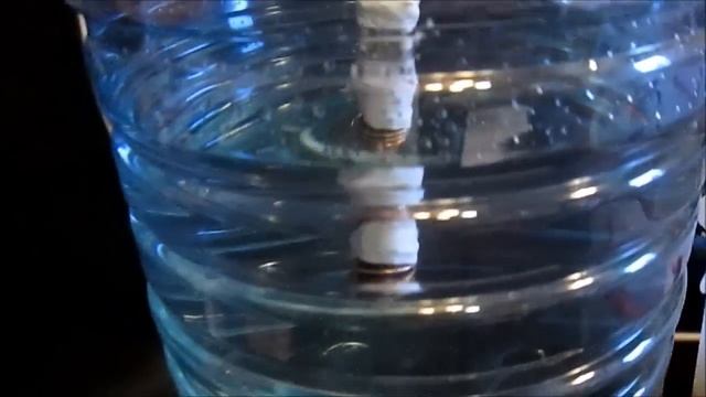 МУХОМОР   целебные свойства