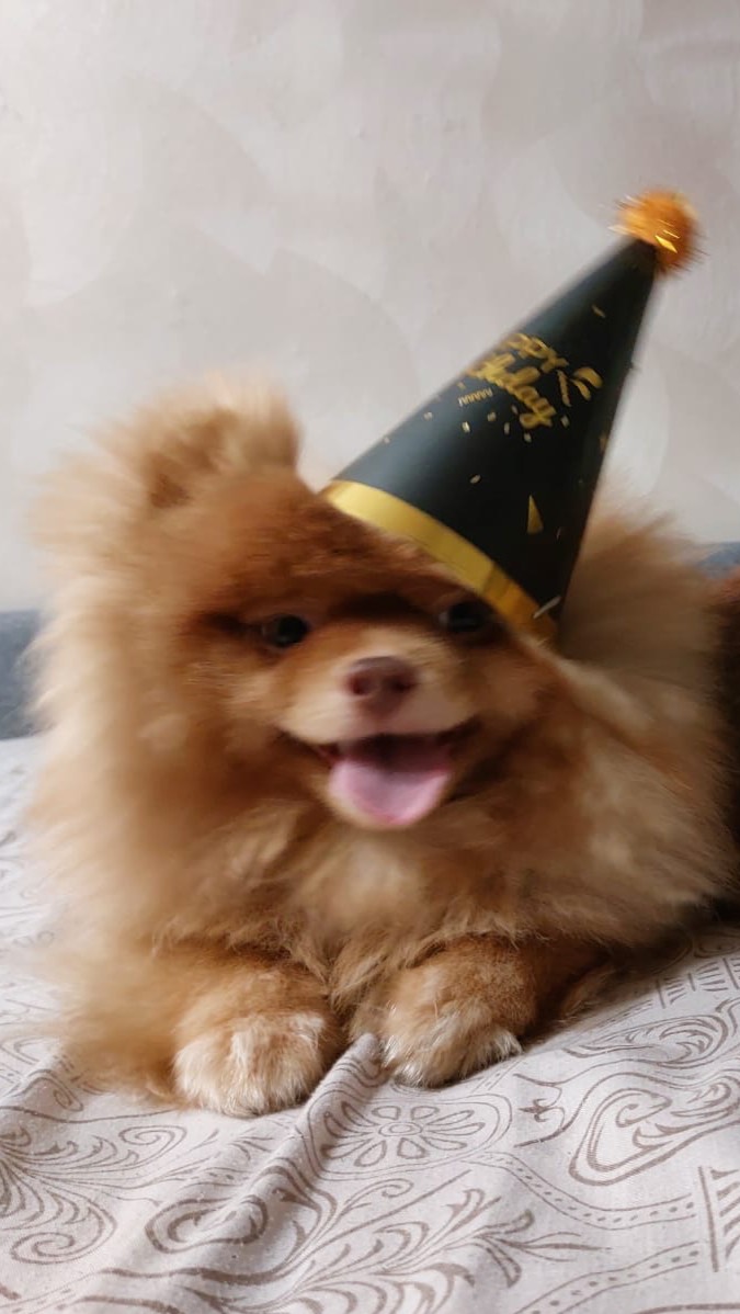 С днем рождения!