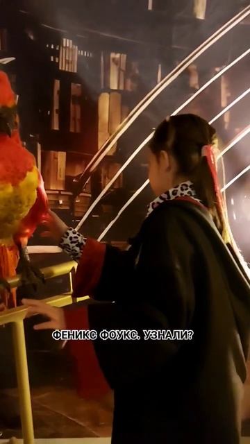 феникс Альбуса Дамболдора