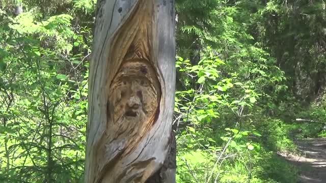 "Хочешь кататься - люби и велики носить!"(Велопоход.2018.Вологда)