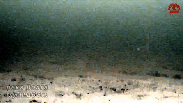 Река Волга. Окуни. Глубина 6-8м.
