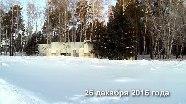 Чкаловец 11 класс (2016)